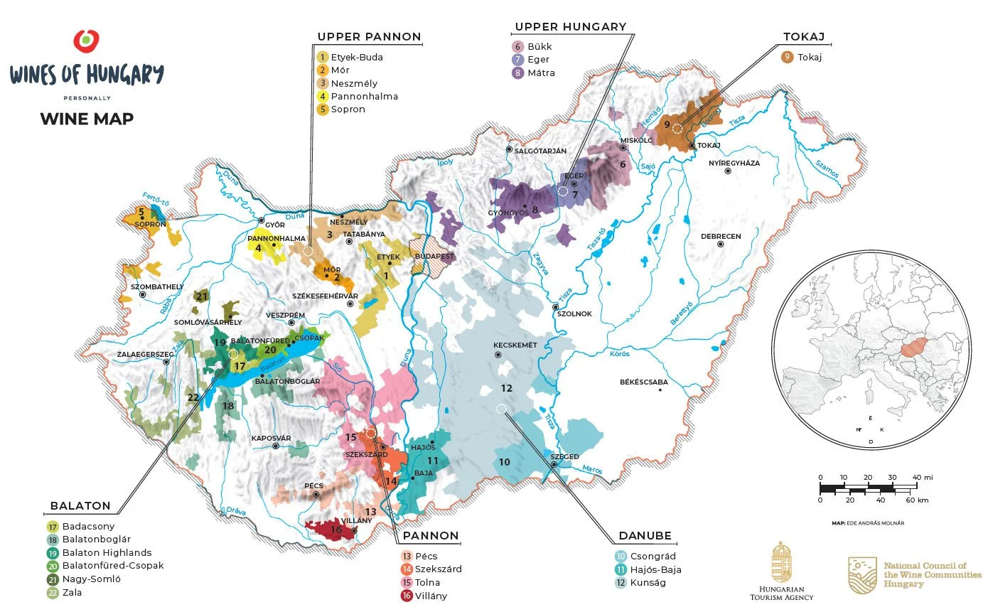 Winnice nad Balatonem — wina węgierskie. Co warto wiedzieć? - Blog Winerua